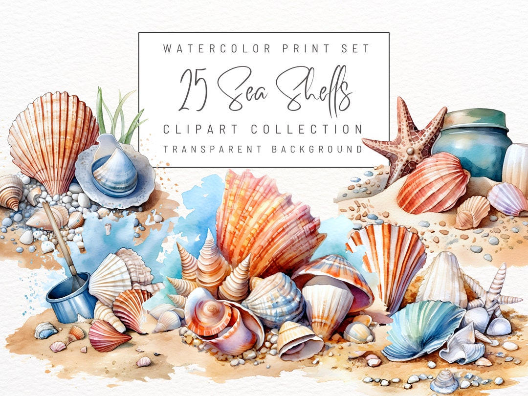 Watercolor Sea Shells Clipart 25 Png Files Bundle 1, Ocean Nautical ...