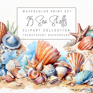 Watercolor Sea Shells Clipart 25 Png Files Bundle 1, Ocean Nautical ...