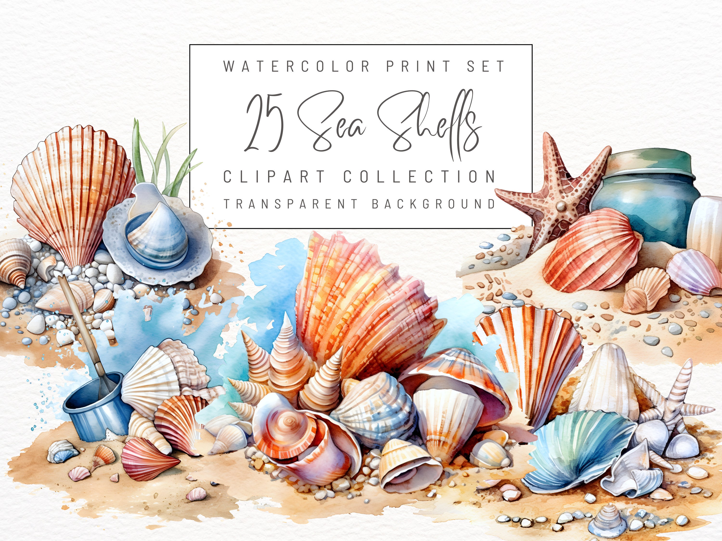 Watercolor Sea Shells Clipart 25 Png Files Bundle 1, Ocean Nautical ...