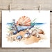 Watercolor Sea Shells Clipart 25 Png Files Bundle 2, Ocean Nautical ...