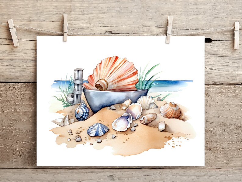 Watercolor Sea Shells Clipart 25 Png Files Bundle 2, Ocean Nautical ...