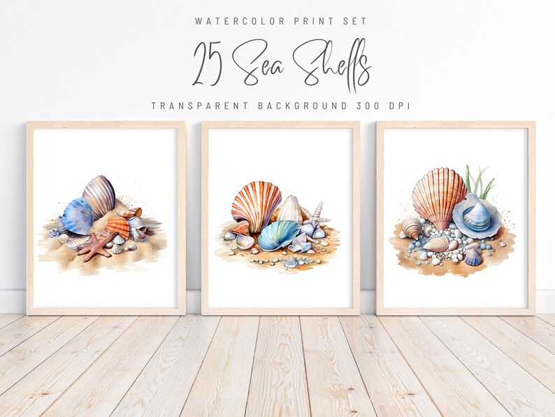 Watercolor Sea Shells Clipart 25 Png Files Bundle 1, Ocean Nautical ...