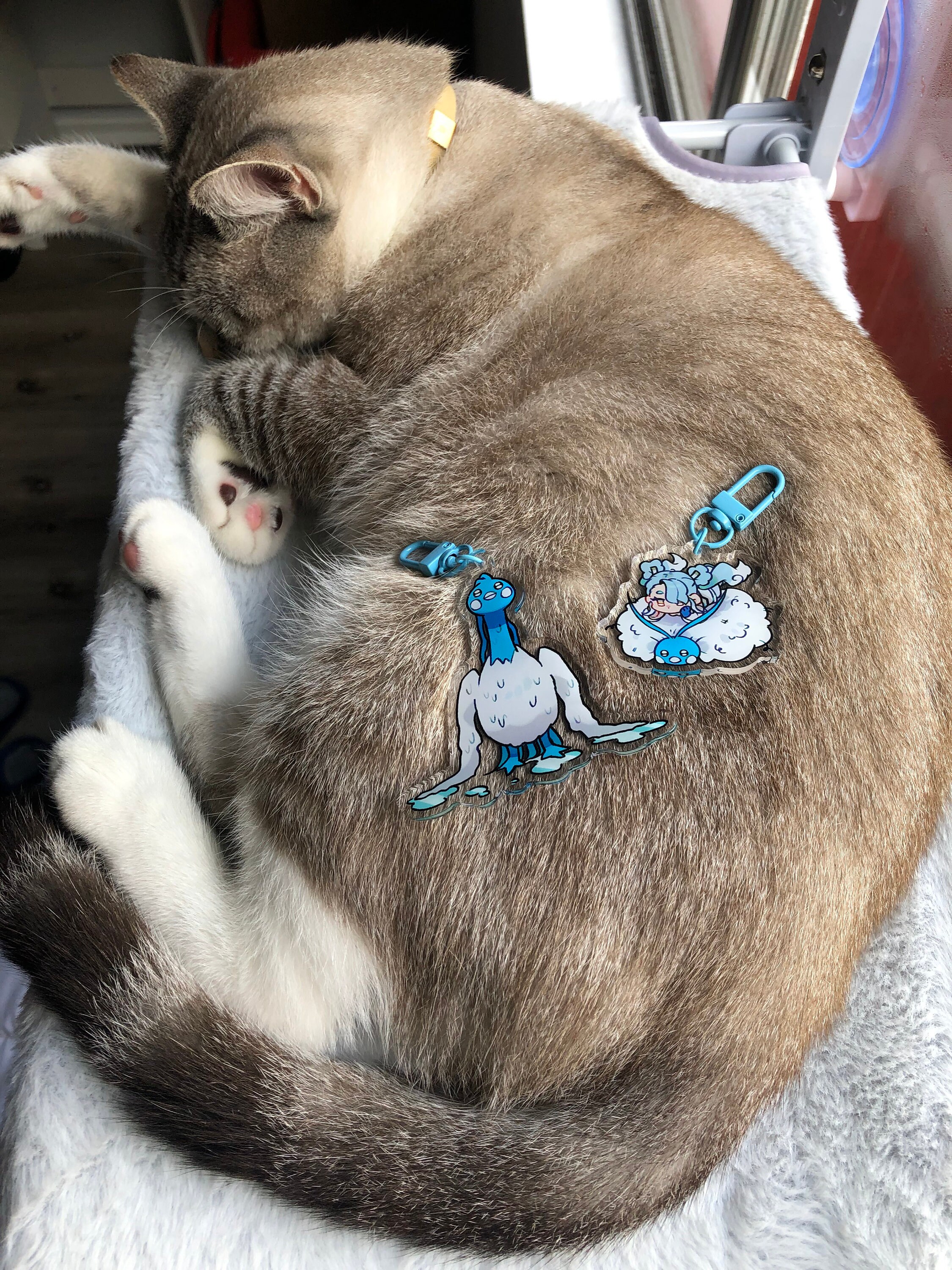 Wet Altaria 3 Acrylic Charm Pokemon Double-sided Keychain - Etsy