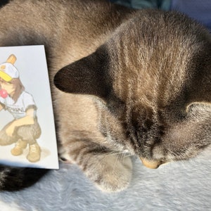 Stelle Baseball 4x6" Postcard Honkai Star Rail Mini Print - Etsy