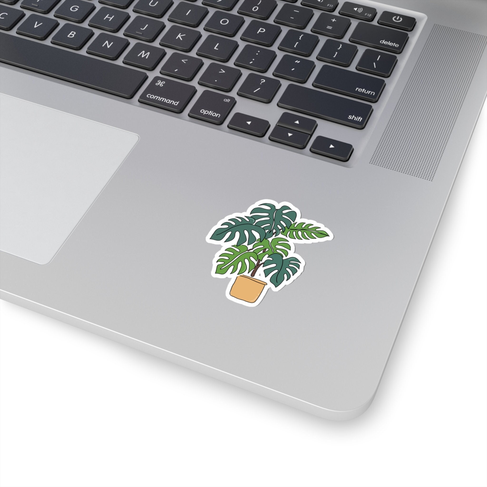 Tropical Plant Sticker | Potted Plant Sticker | Water Bottle Sticker ...