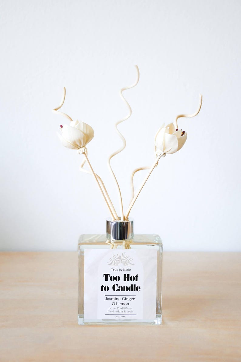 Customizable Reed Diffuser, Scented Reed Diffuser, Luxury Home Decor ...