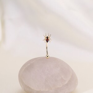 14K Solid Gold Spider Rook Ring, Black Onyx Eyebrow Earring, Curved ...