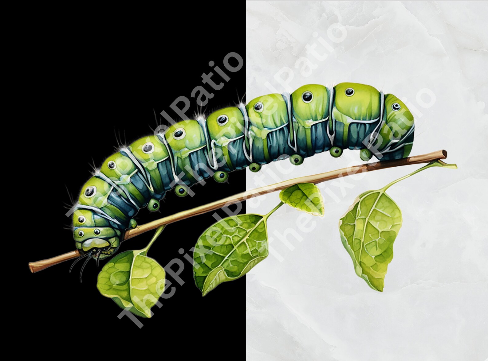 Watercolor Bugs & Insects Clipart Bundle 20 Transparent Background Cute ...