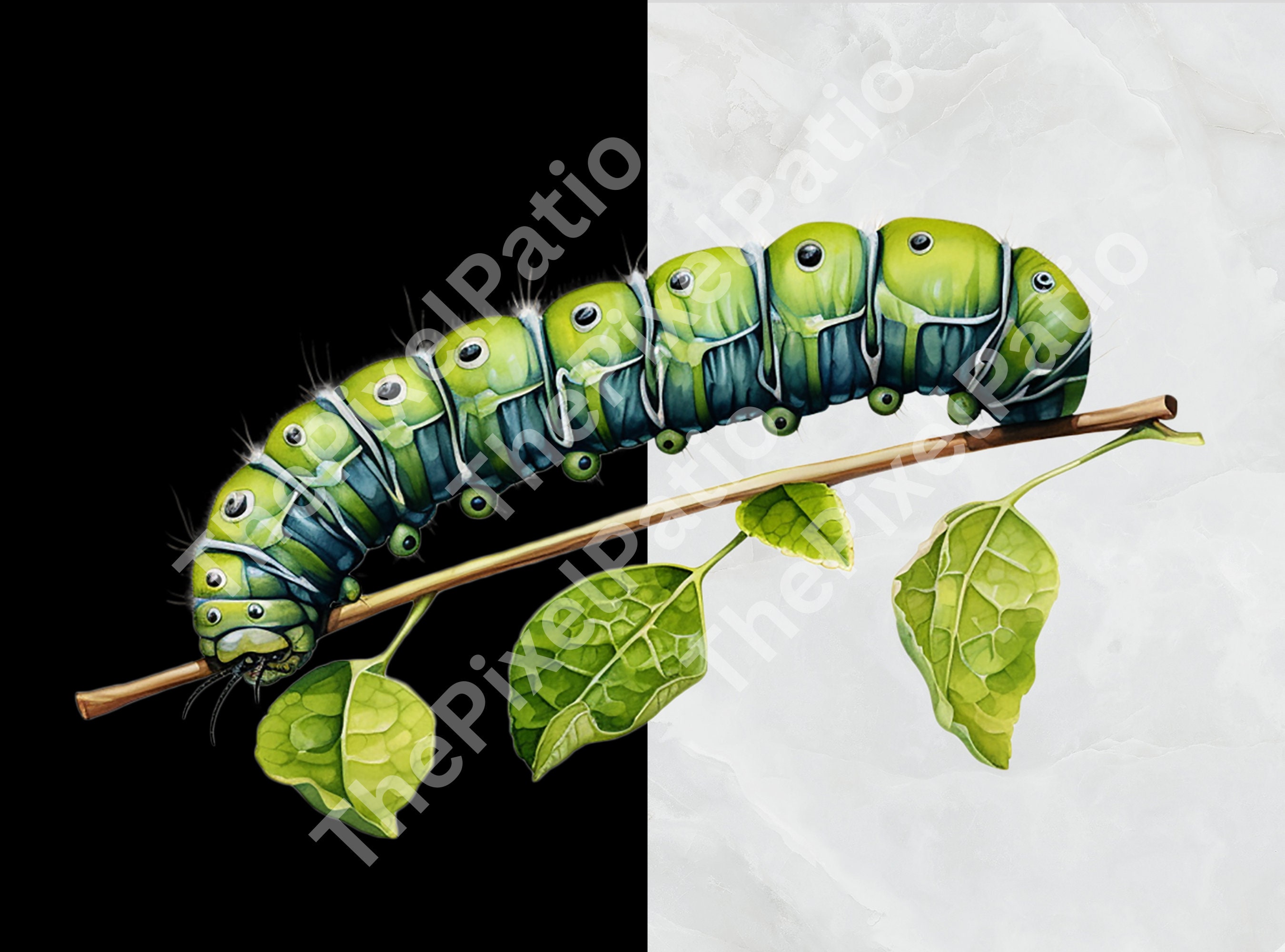 Watercolor Bugs & Insects Clipart Bundle 20 Transparent Background Cute ...