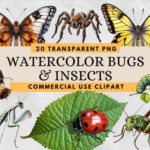Watercolor Bugs & Insects Clipart Bundle - 20 Transparent Background ...