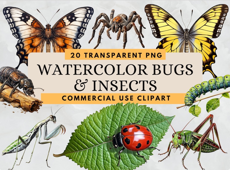 Watercolor Bugs & Insects Clipart Bundle 20 Transparent Background Cute ...