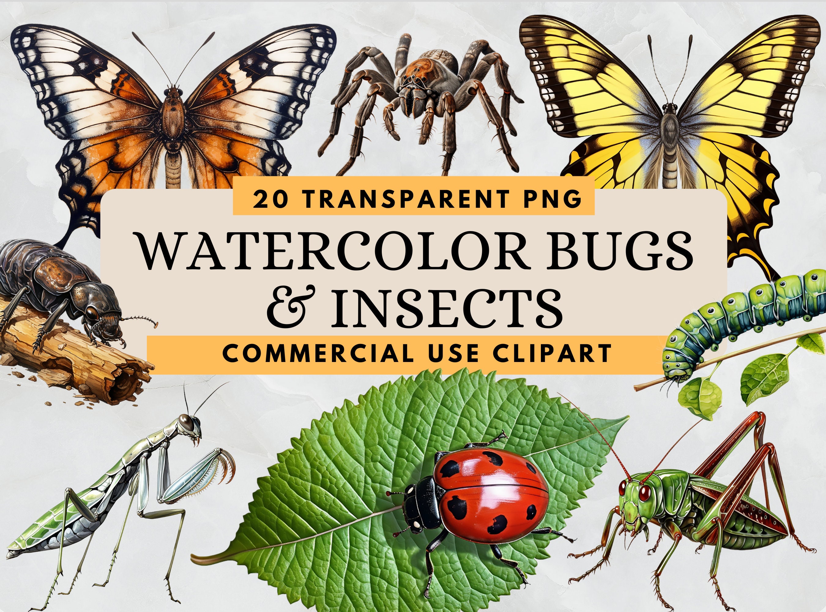 Watercolor Bugs & Insects Clipart Bundle 20 Transparent Background Cute ...