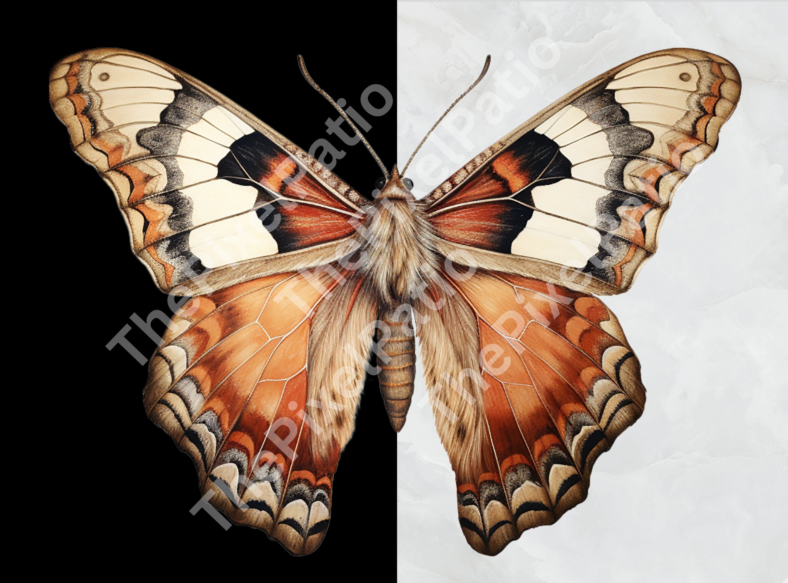 Watercolor Bugs & Insects Clipart Bundle 20 Transparent Background Cute ...