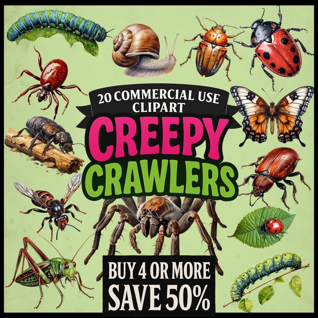 Watercolor Bugs & Insects Clipart Bundle - 20 Transparent Background ...