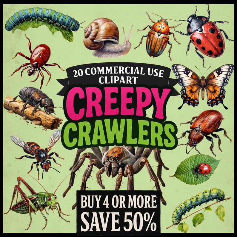 Watercolor Bugs & Insects Clipart Bundle - 20 Transparent Background ...