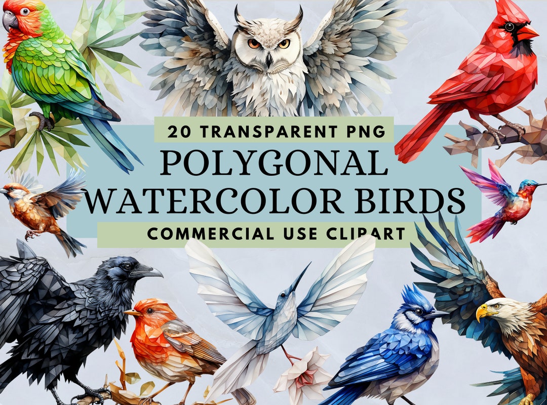 Watercolor Birds Clipart Bundle - 20 Polygonal Bird Pngs on Transparent ...
