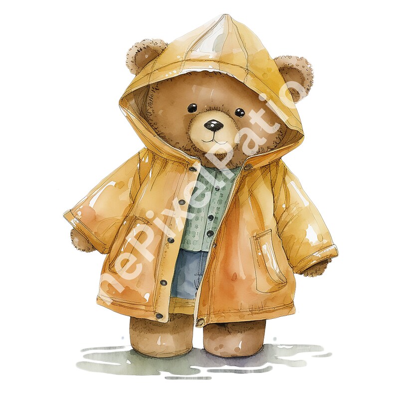 Teddy Bear Watercolor Clipart Bundle - Digital Download - 20 ...