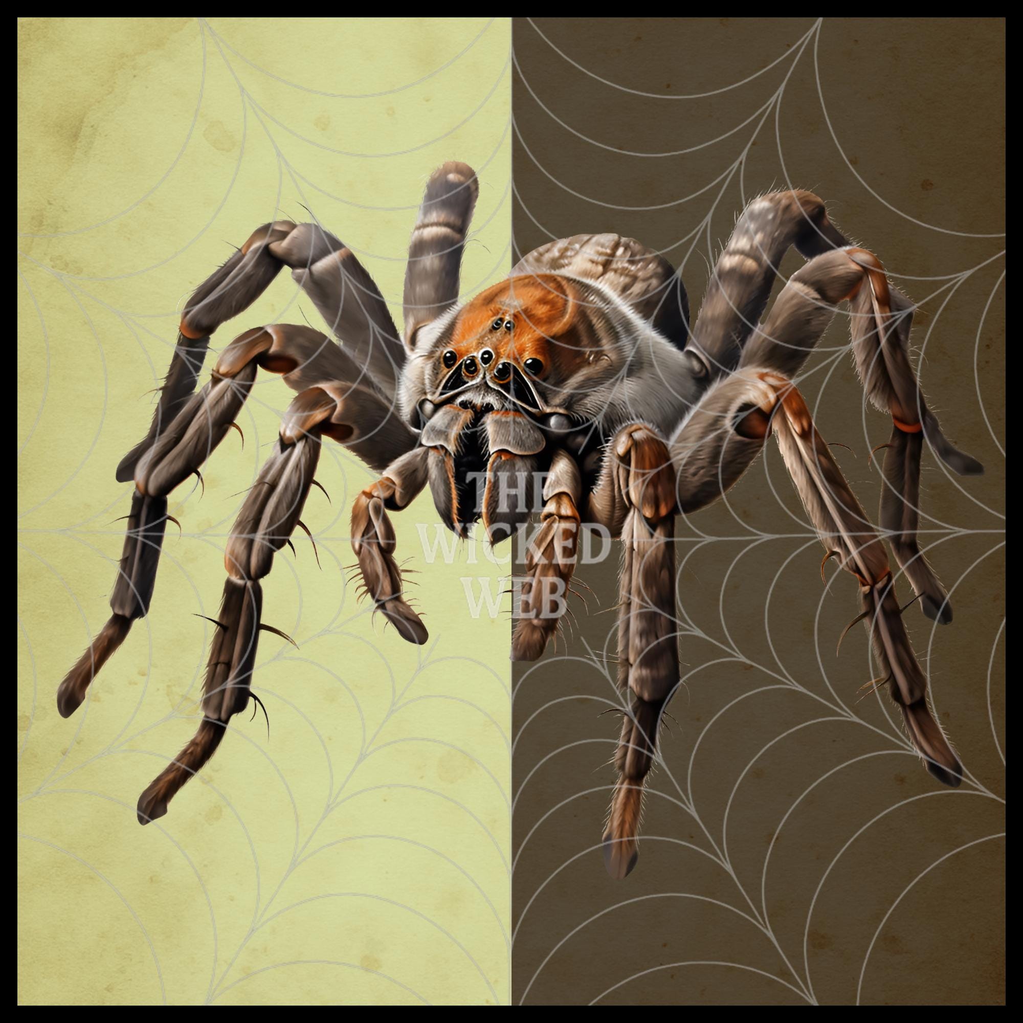 Watercolor Bugs & Insects Clipart Bundle - 20 Transparent Background ...