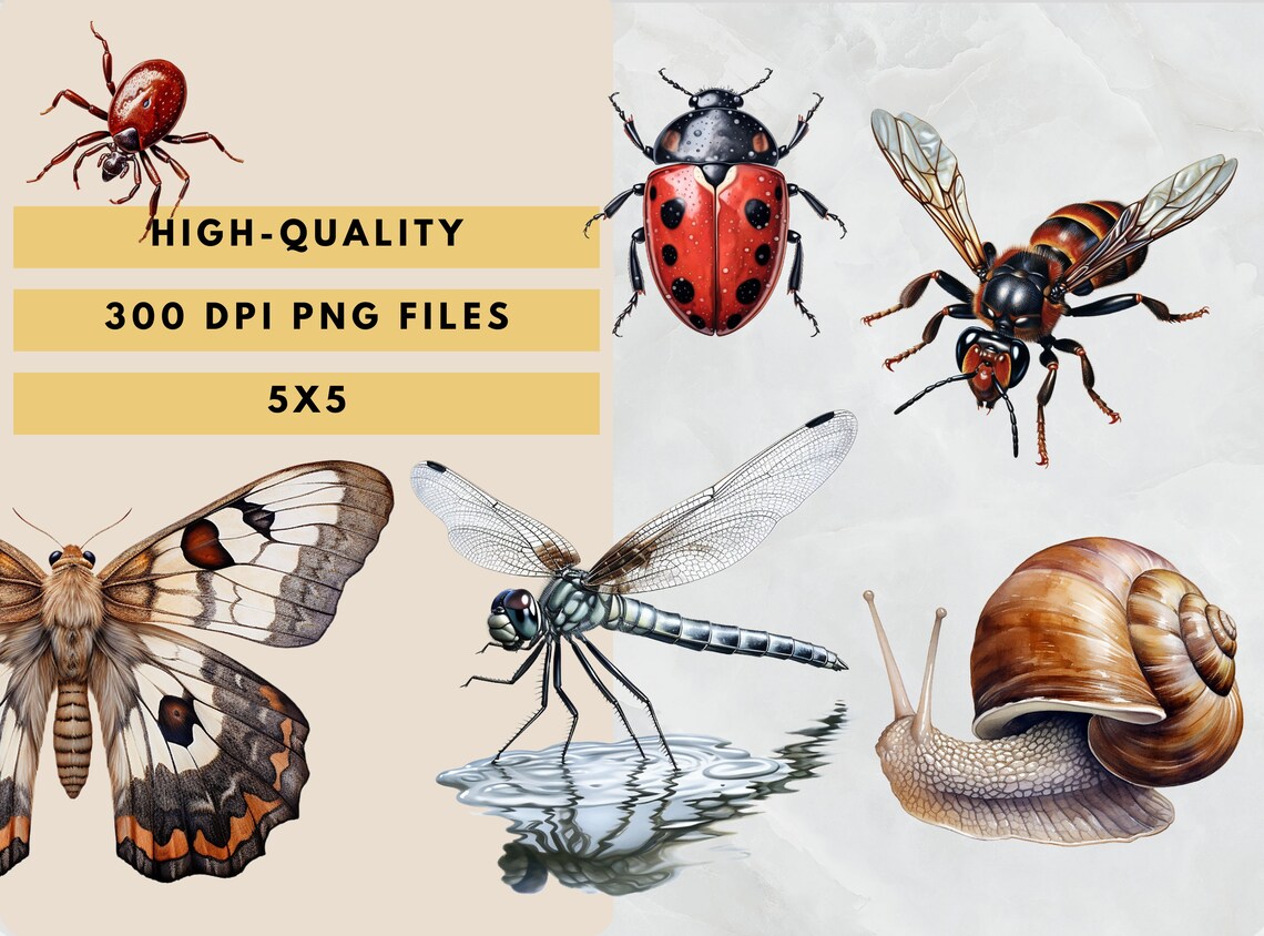 Watercolor Bugs & Insects Clipart Bundle 20 Transparent Background Cute ...