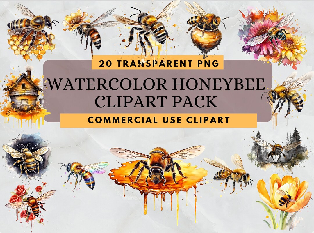 Honeybee Watercolor Clipart Bundle - 20 Transparent Background Pngs ...