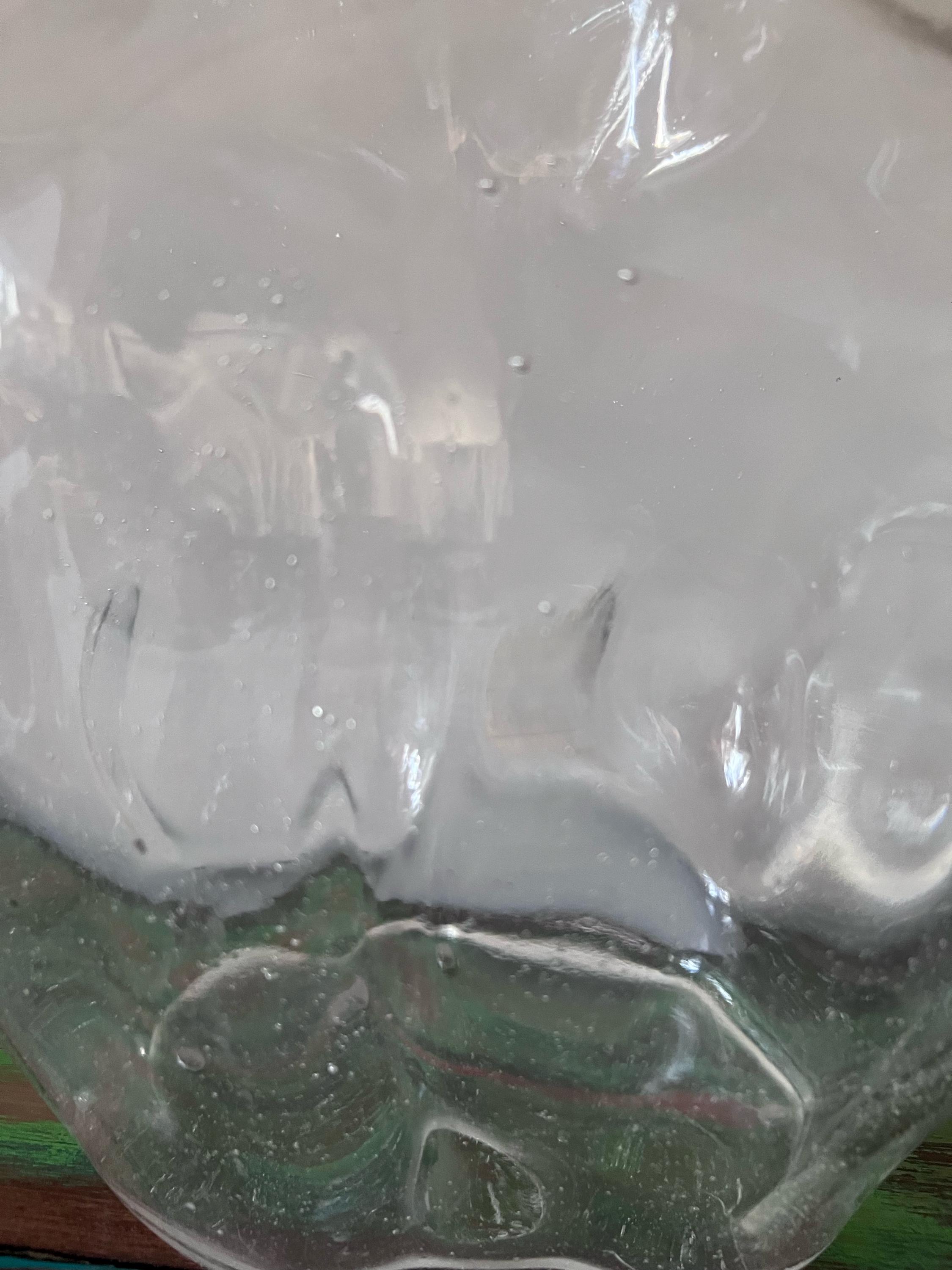 Transparent Female Headless Bust, Necklaces or Bra Display - Etsy