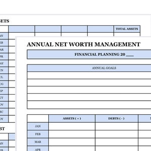 Net Worth Tracker (printable) - Etsy
