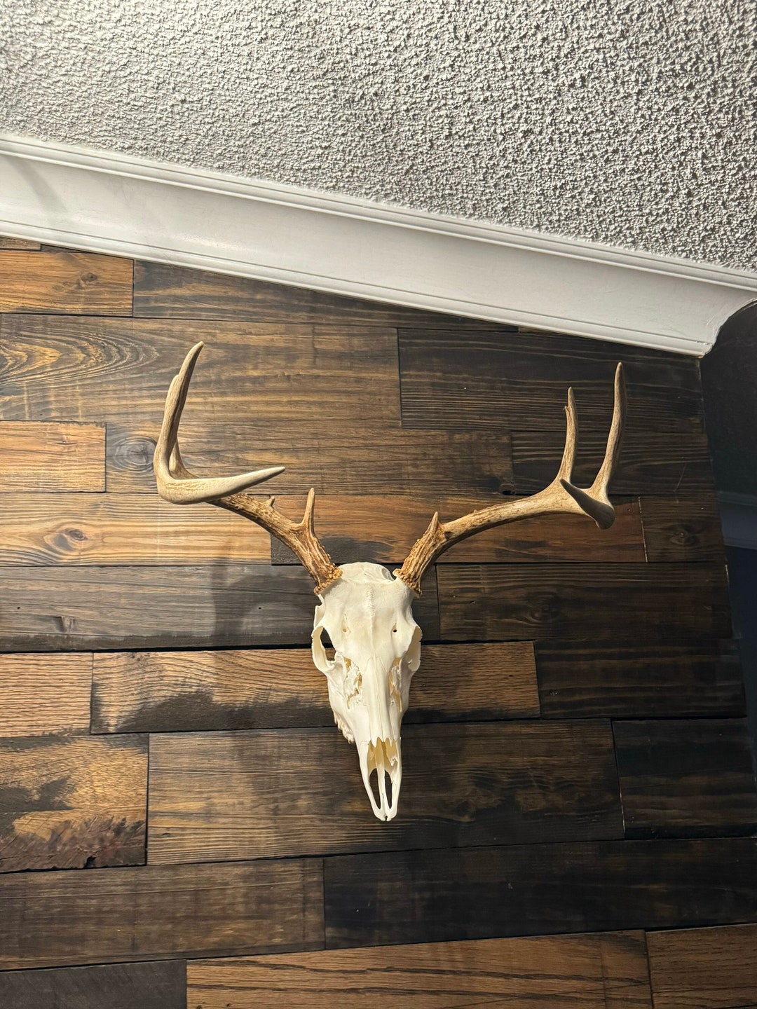 Minimalist Euro Mount Bracket - Etsy