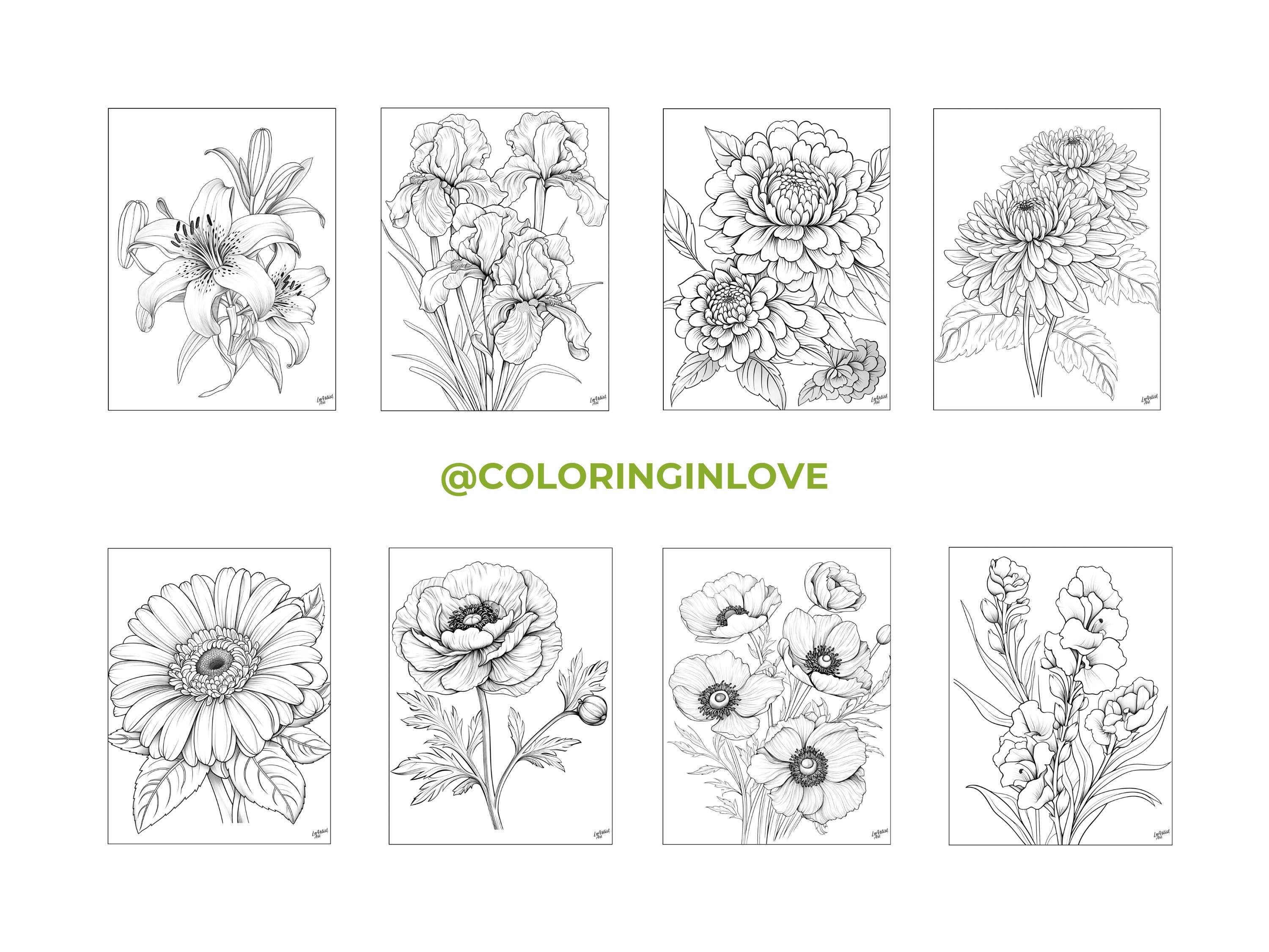 40 Beautiful Botanical Coloring Pages Botanical Flower - Etsy