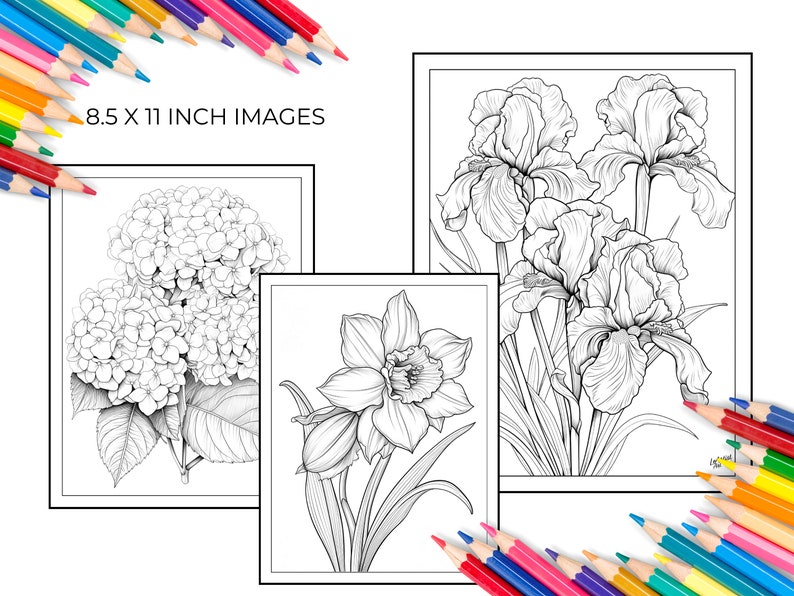 40 Beautiful Botanical Coloring Pages, Botanical Flower Coloring Pages ...