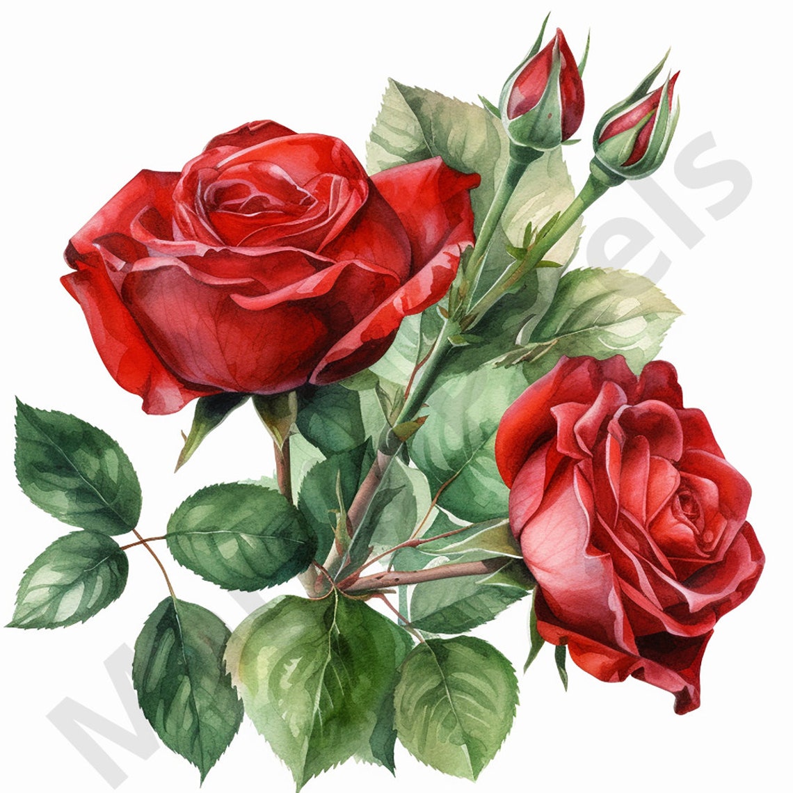 Red Roses Clipart Red Roses Png Floral Arrangement Rose Wreath Wedding ...