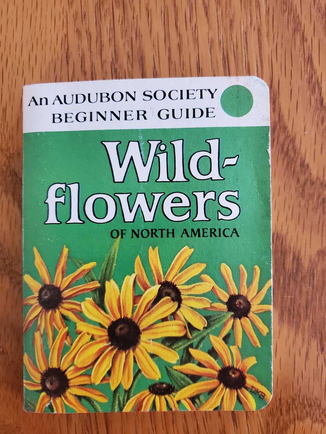 Vintage Book Audubon Society Beginner Guide Wildflowers of - Etsy
