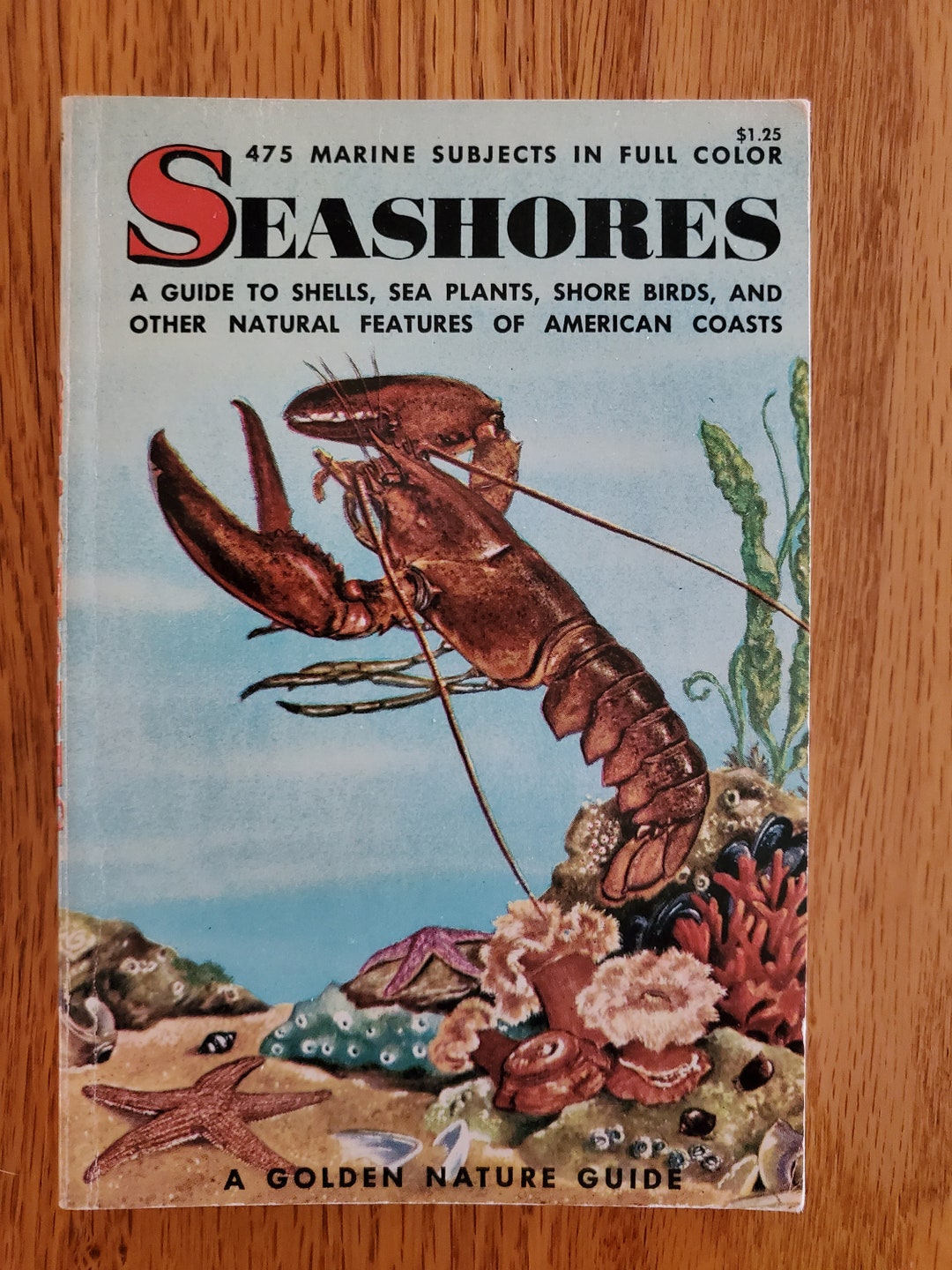 Seashores Golden Nature Guide 1955 - Etsy