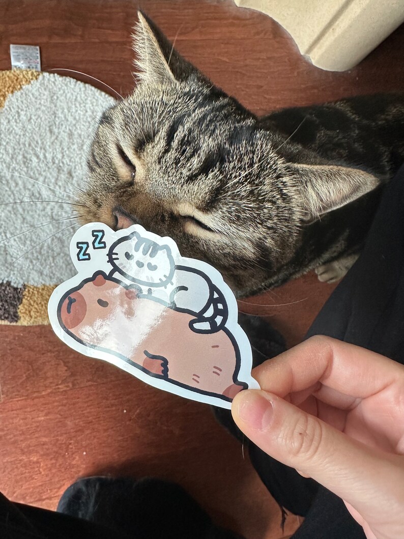 Capybara Cat Glossy Sticker, Kawaii Laptop Vinyl Decal - Etsy