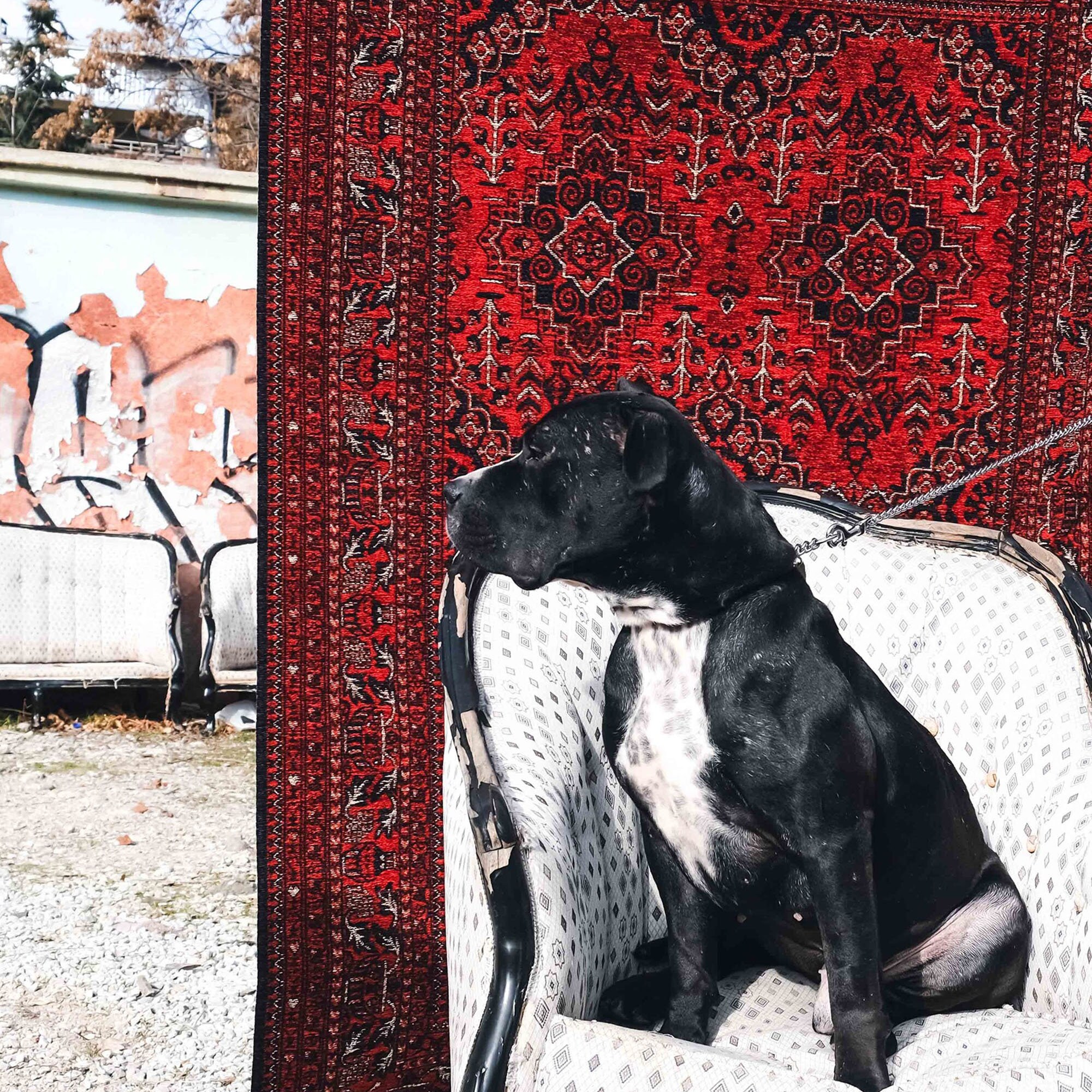 Afghan Pattern Rug, Red Afghan Carpet,machine-washable Classic Ethnic ...