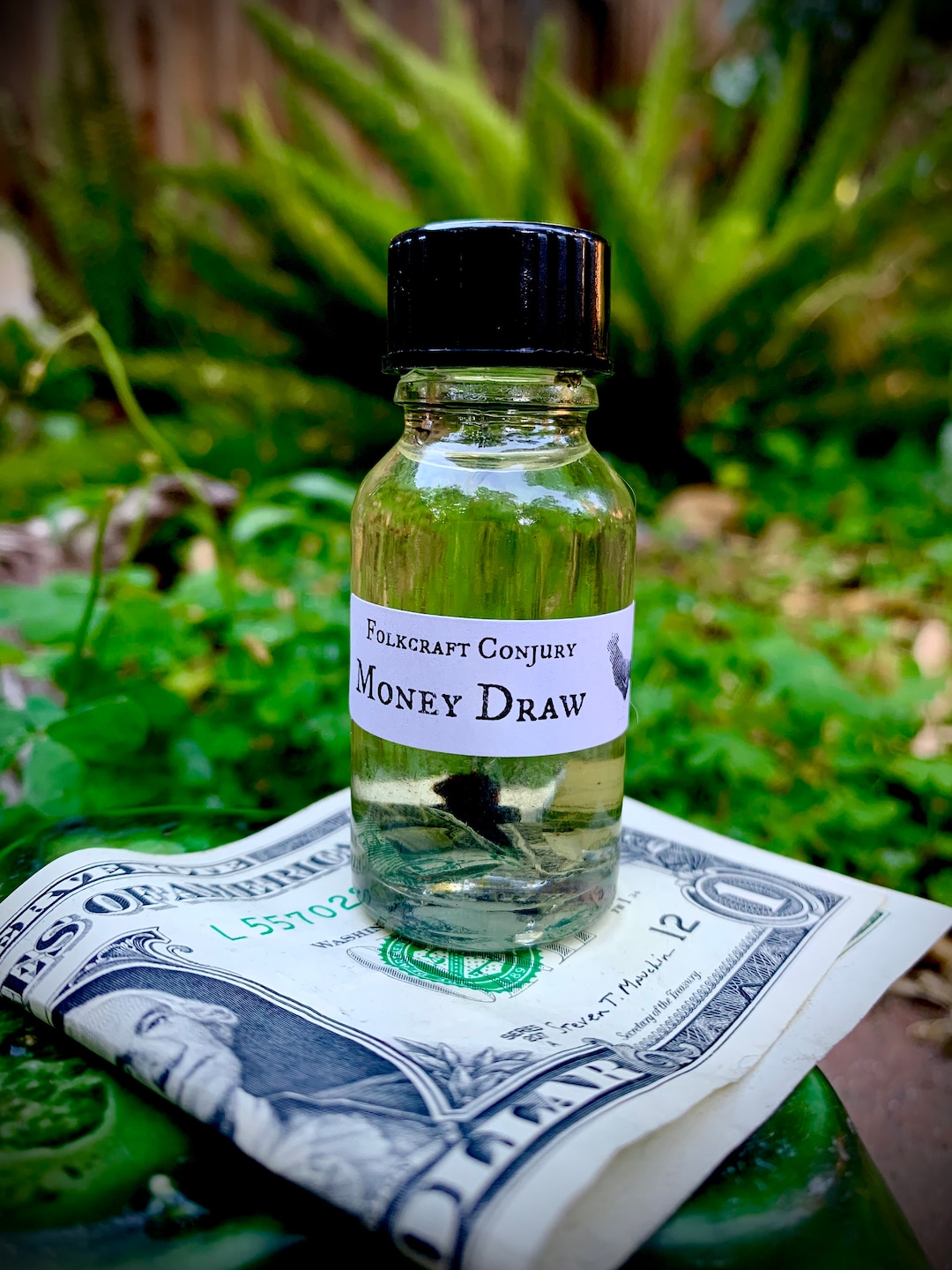 Fast Money Drawing Oil 1/2 Oz Bottle - Etsy