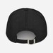 Psychology Gifts Embroidered Baseball Cap PSI Emblem Embroidered Hat ...