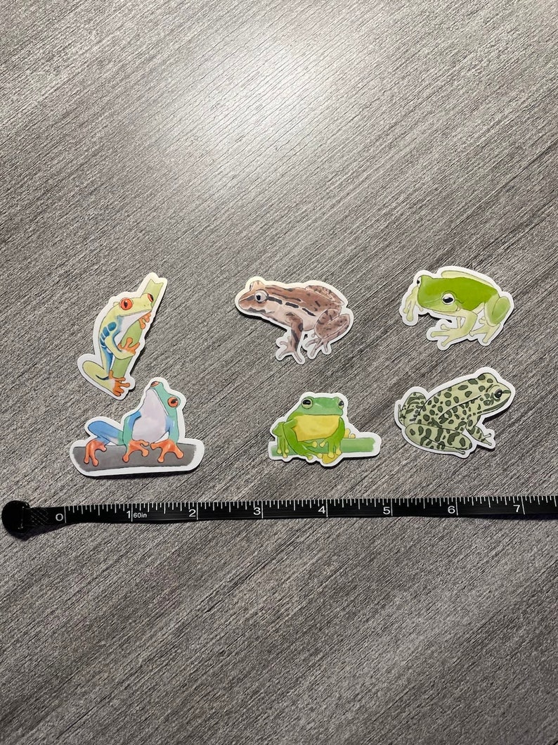 Frog Vinyl Sticker Collection - Tree Frogs - Amphibians - Water ...