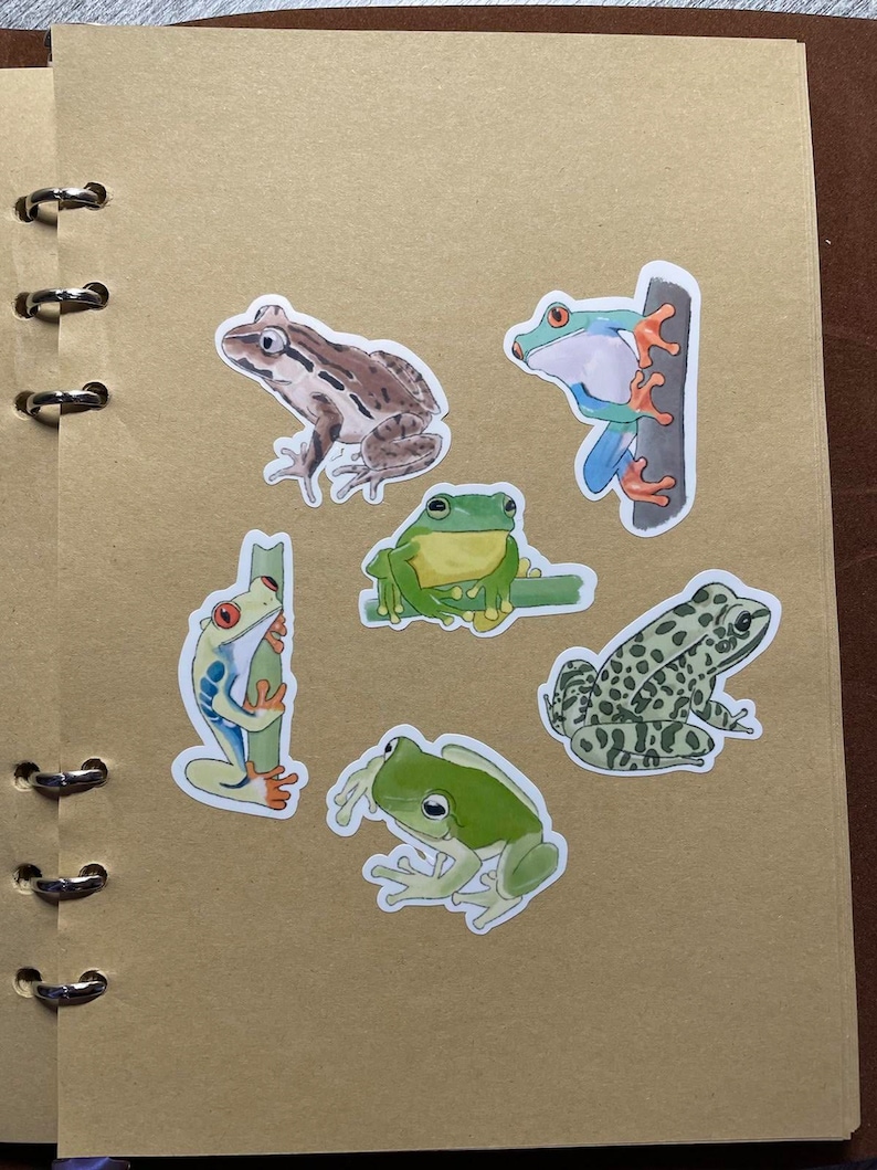 Frog Vinyl Sticker Collection - Tree Frogs - Amphibians - Water ...