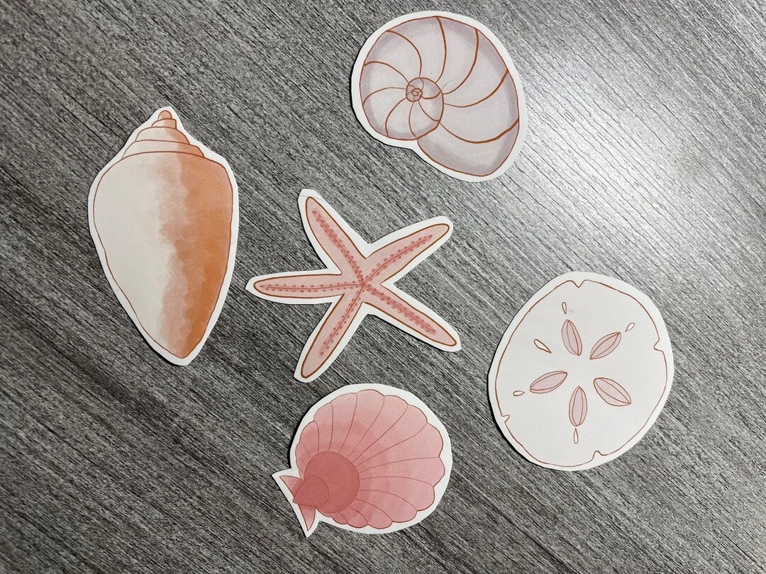 Sea Shell Vinyl Sticker Collection - Etsy