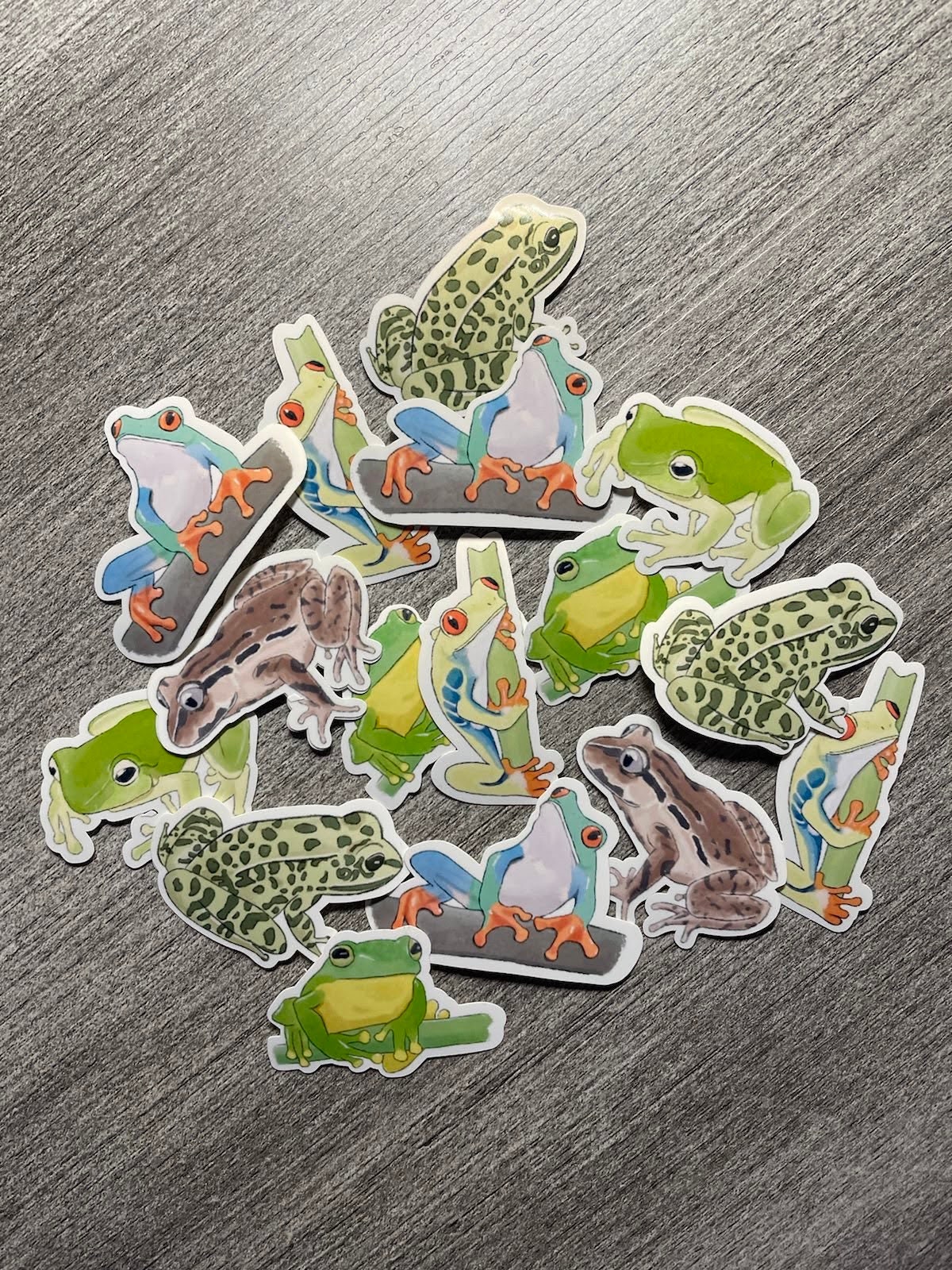 Frog Vinyl Sticker Collection Tree Frogs Amphibians Water Resistant ...