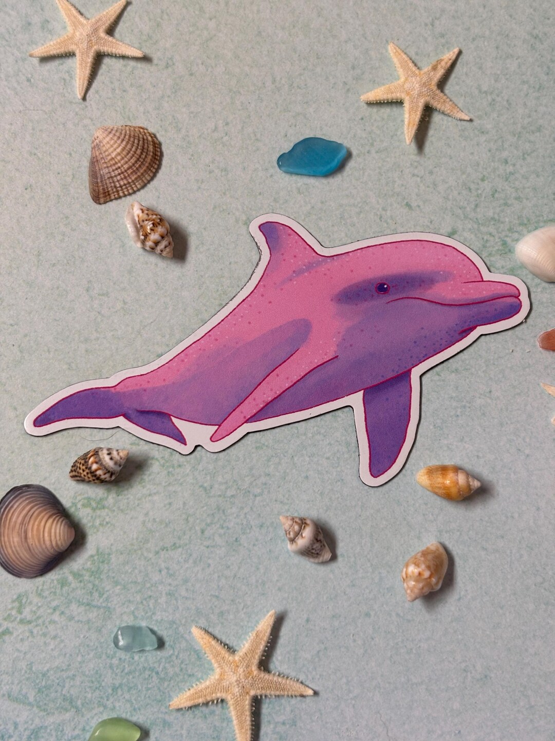Pink Bottlenose Dolphin Vinyl Fridge Magnet - Original Art - Flexible ...