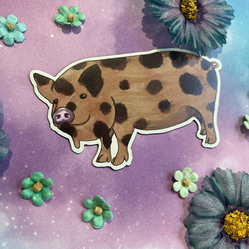 Pig Magnets - Etsy