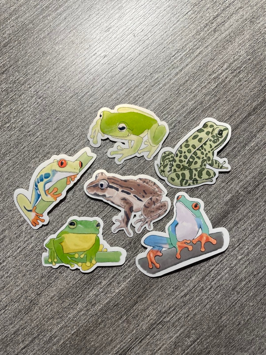 Frog Vinyl Sticker Collection - Tree Frogs - Amphibians - Water ...