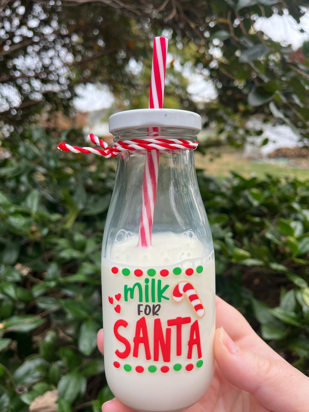 Milk for Santa Glass Milk Bottle, Christmas Cup, Santa Glass, Milk for ...