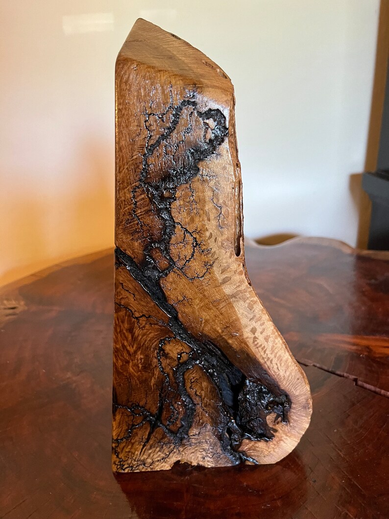 Fractal Burnt Wood Art - Etsy Canada