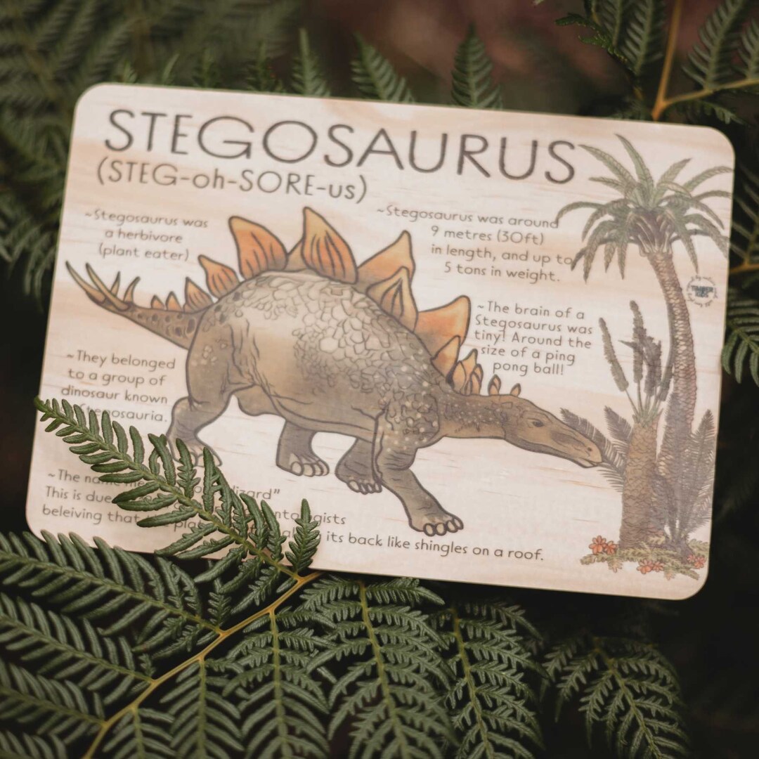Stegosaurus Jumbo Dino Fact Tile - Etsy