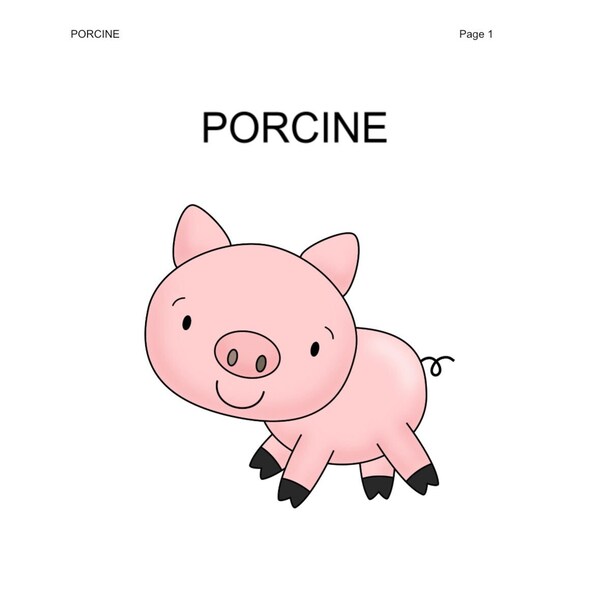 Porcine - Etsy