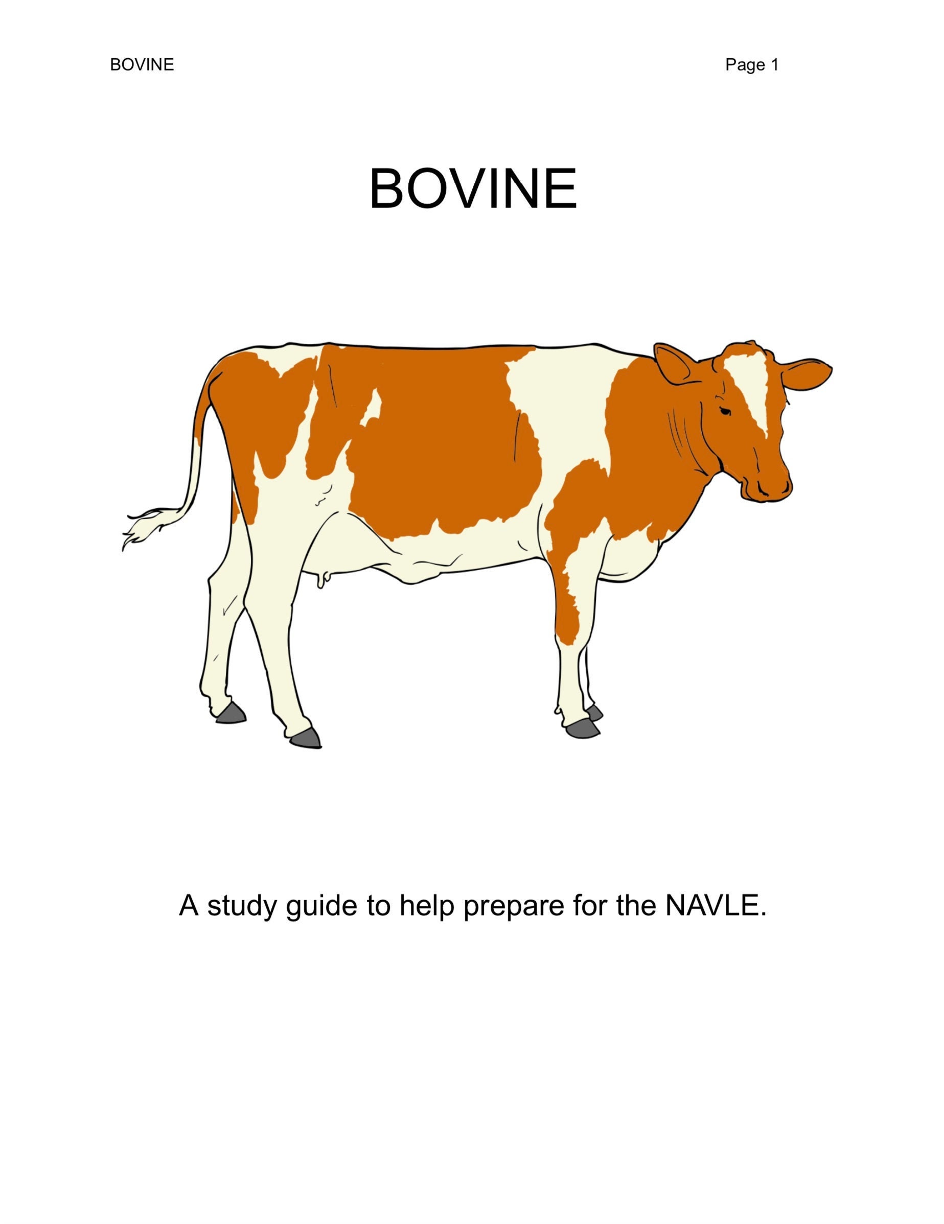 Bovine Vet Med Study Guide for the NAVLE - Etsy