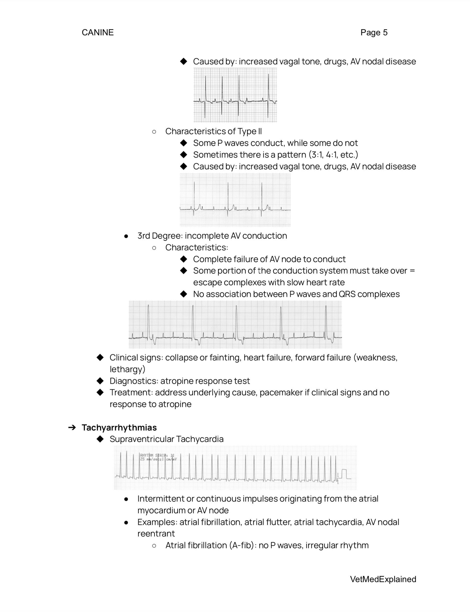 Canine Vet Med Study Guide for the NAVLE - Etsy