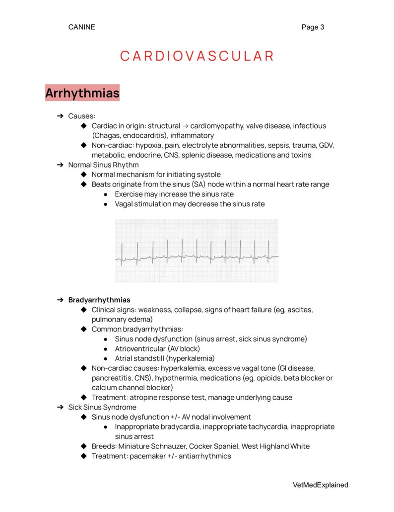 Canine Vet Med Study Guide for the NAVLE - Etsy